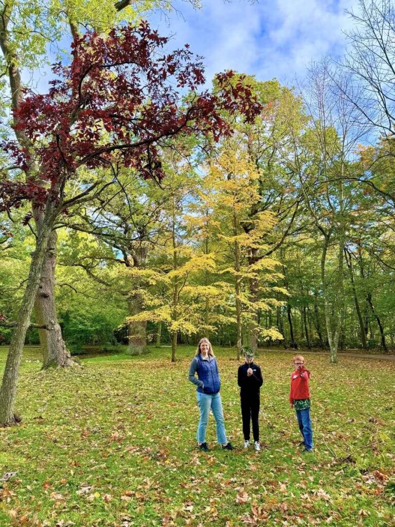 Everything You Need To Know To Visit Alnarp Manor, Sweden