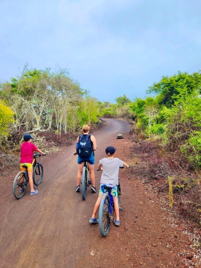 Amazing Things To Do On Isabela Island Galapagos