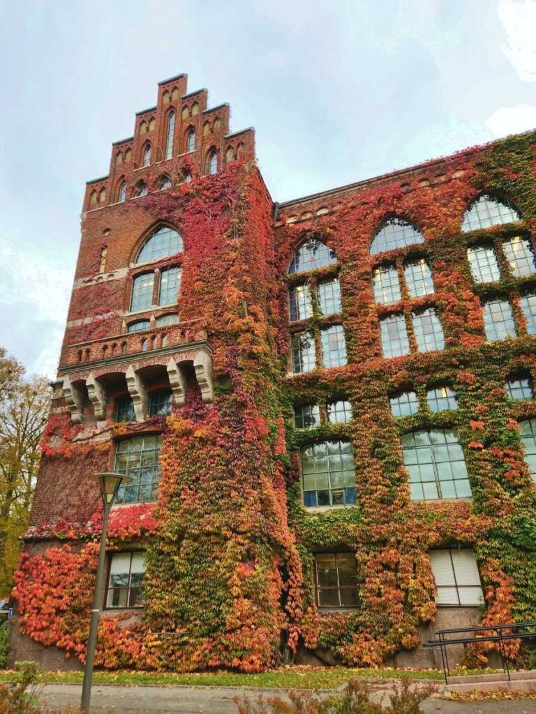 Fall In Sweden: 6 Must-Visit Destinations For Autumn Leaves